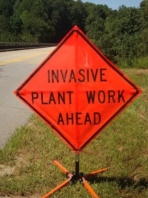 Invasive Species — Kosciusko County Soil and Water Conservation District