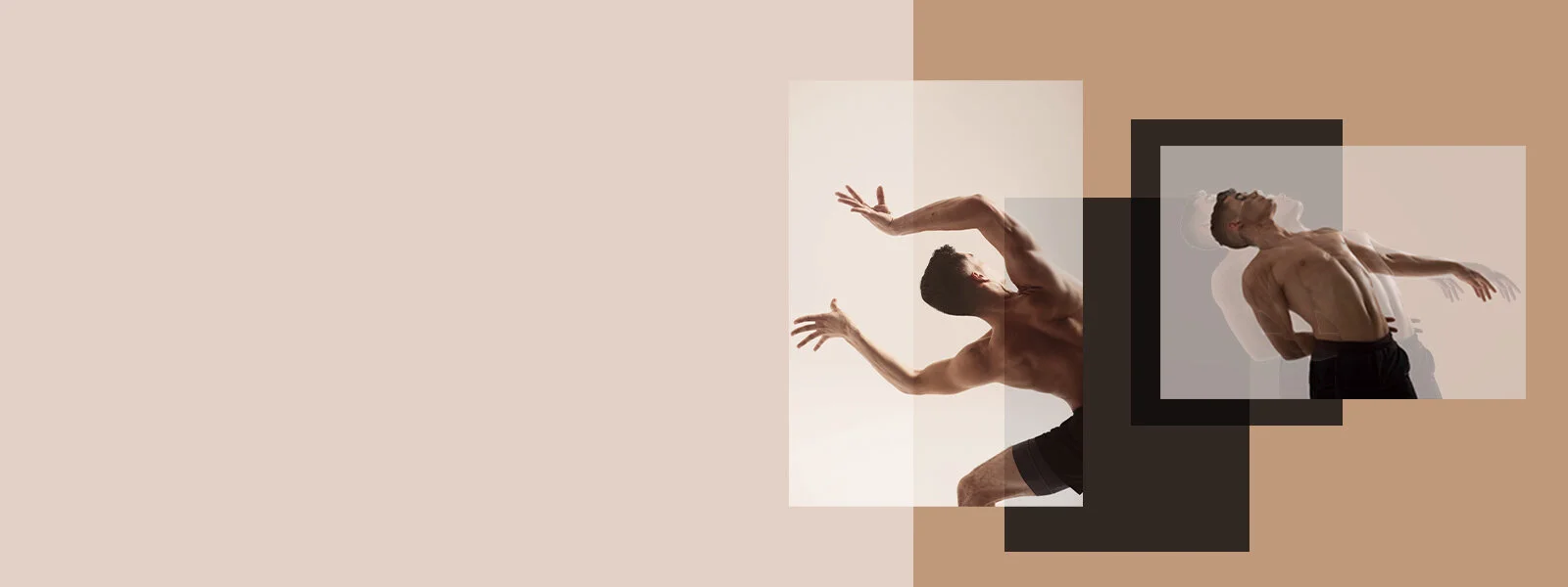 JAYBIRD STUDIO | DIGITAL STUDIO