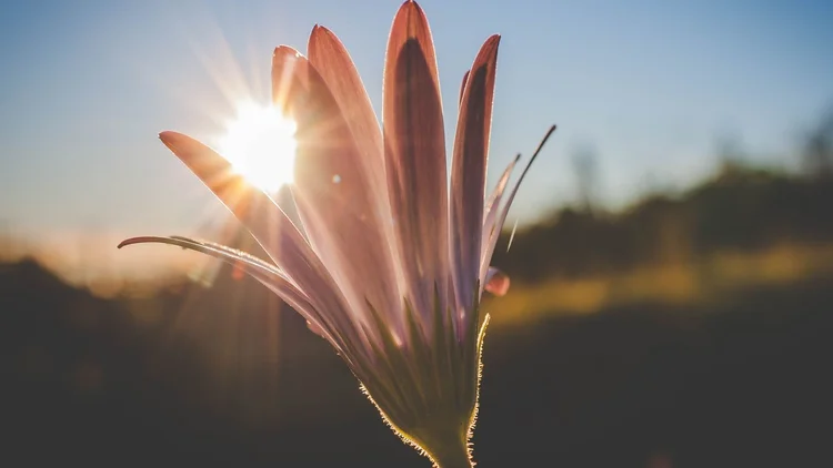 Starting over at 40: Reclaiming Your Life (and Sanity) in Midlife ...