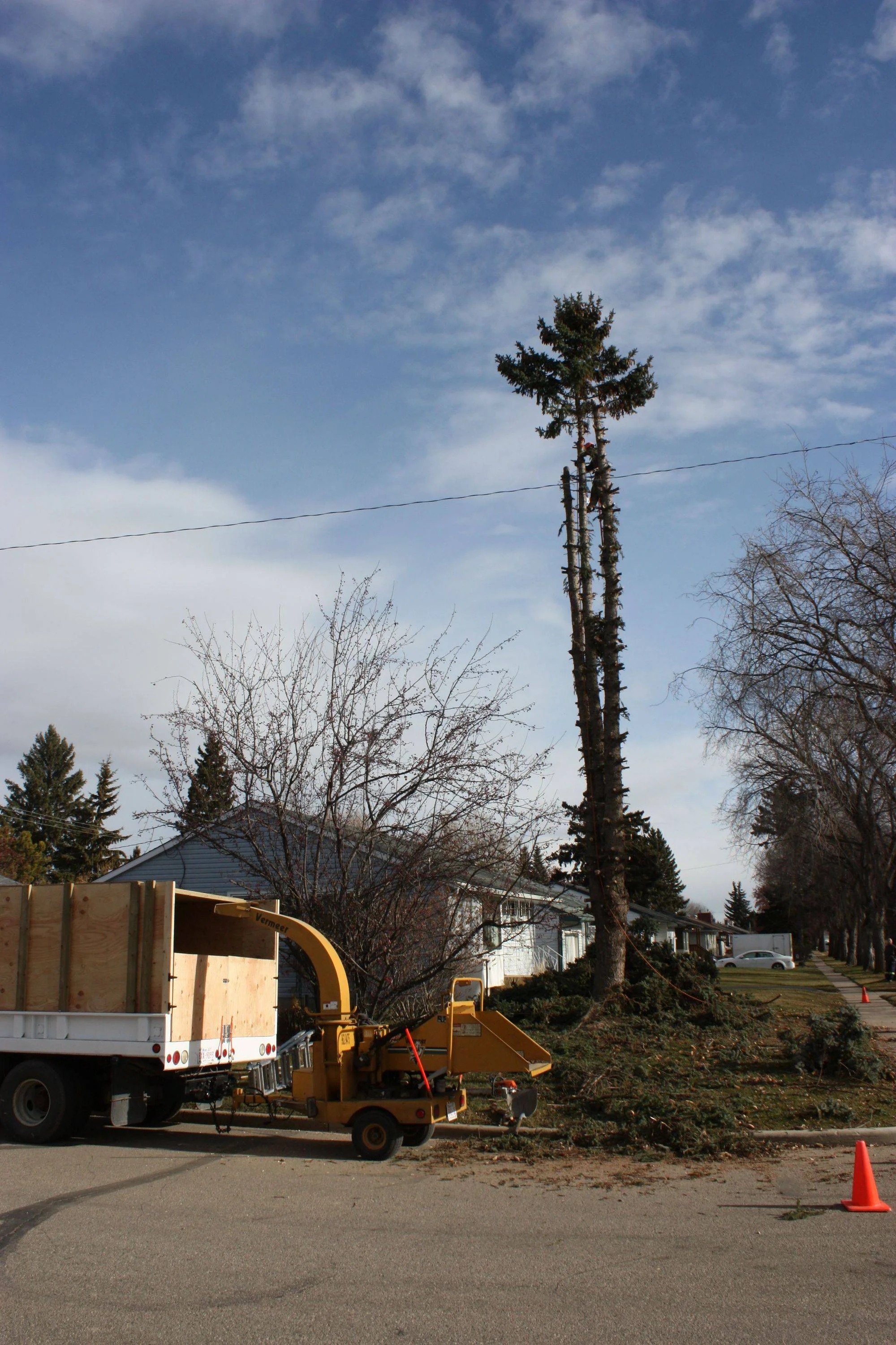 Projects — Red Deer Tree Care