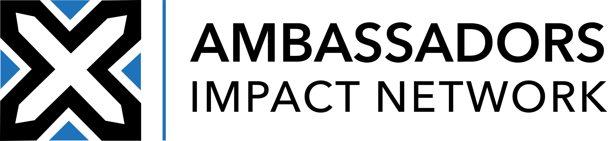 Portfolio — Ambassadors Impact Network
