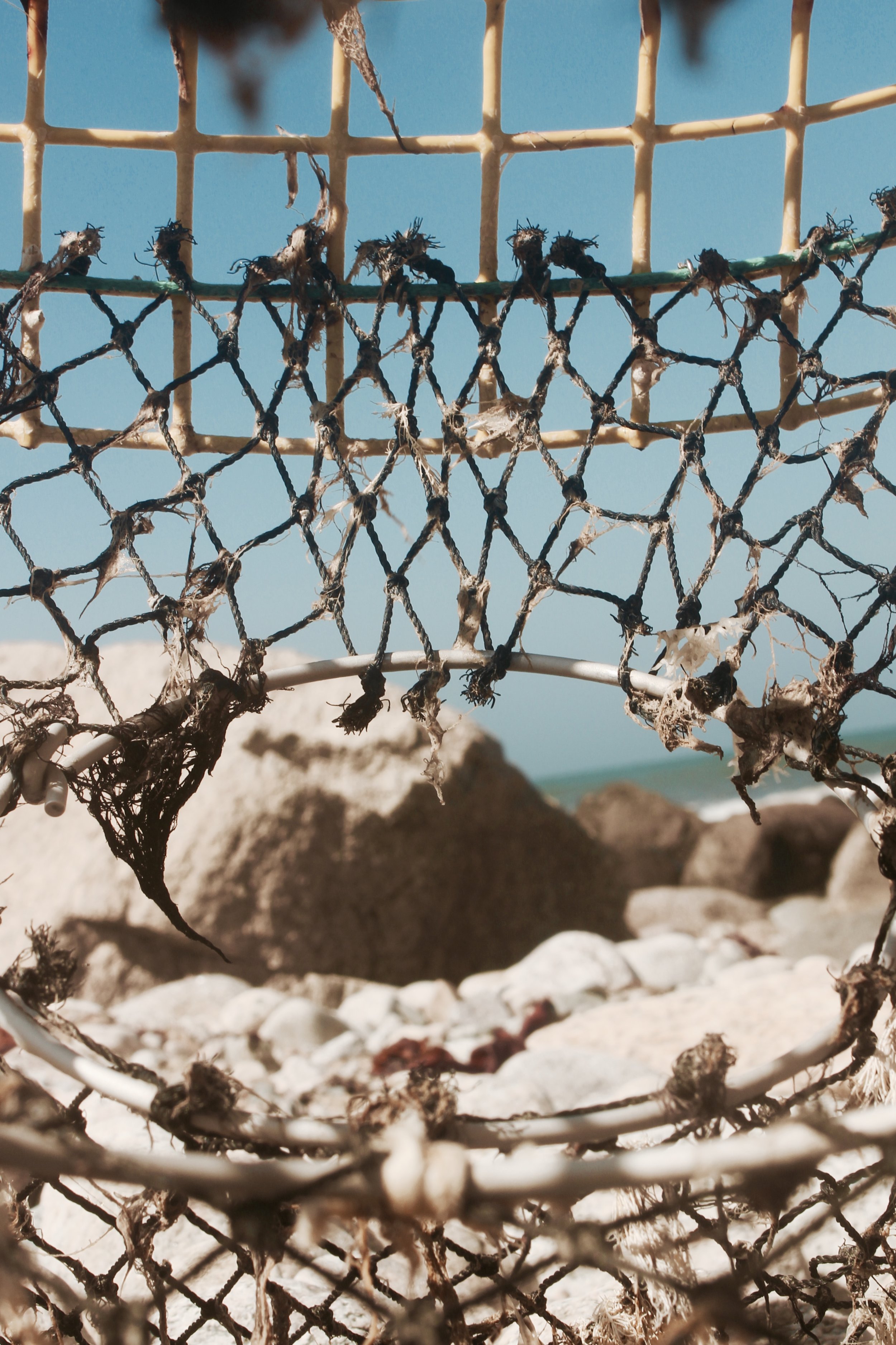 allie goodrich photography