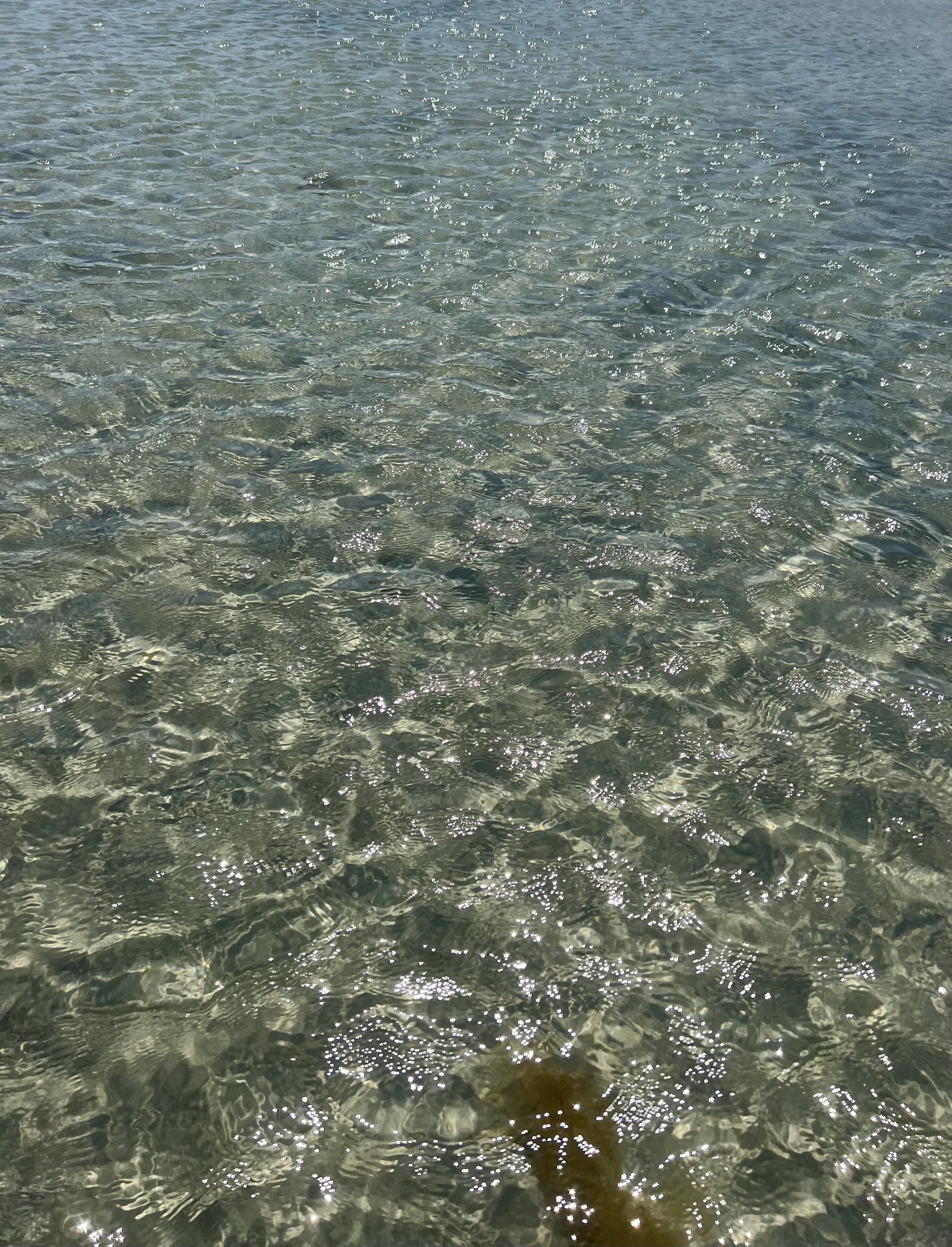 allie goodrich photography