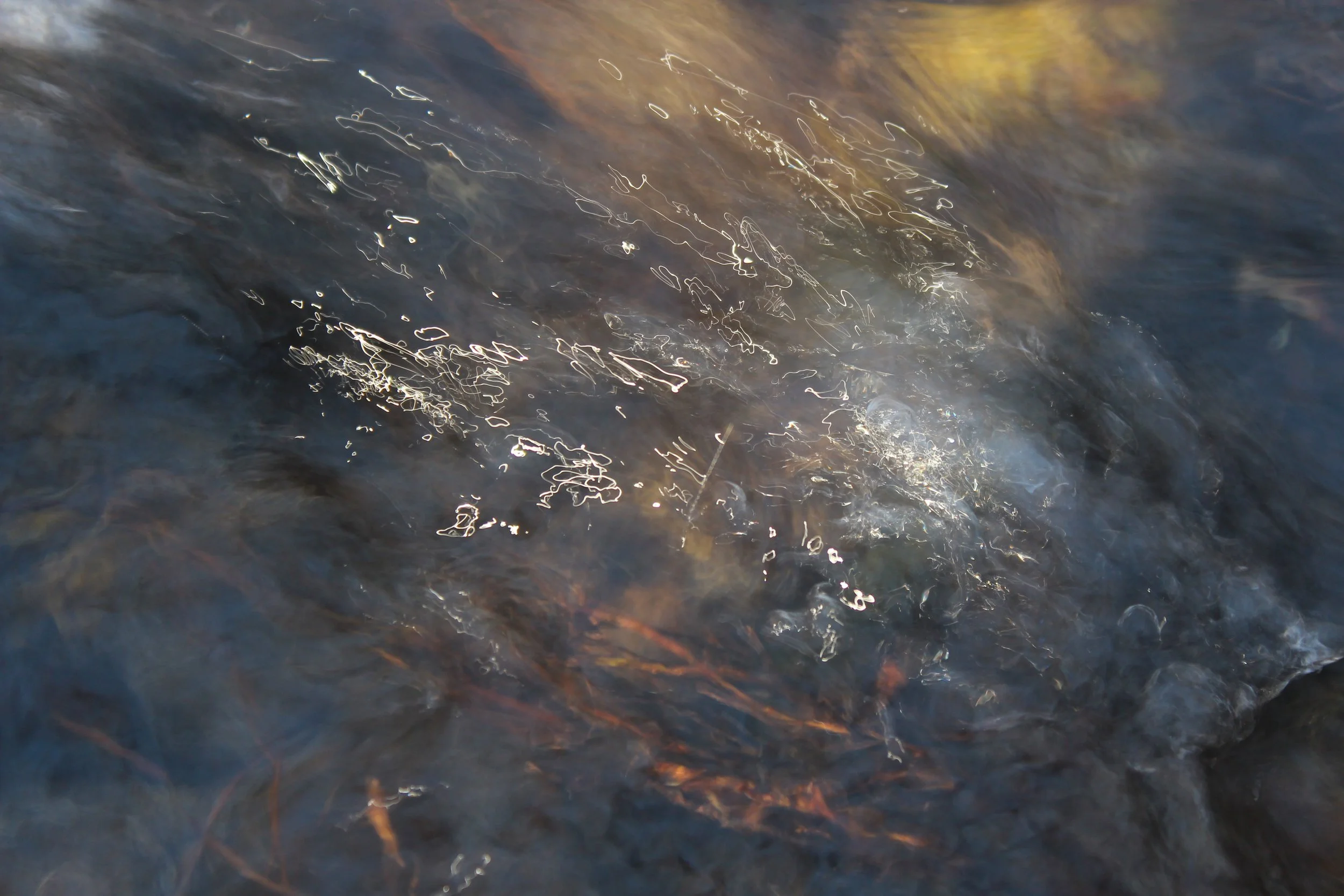water studies — allie goodrich photography