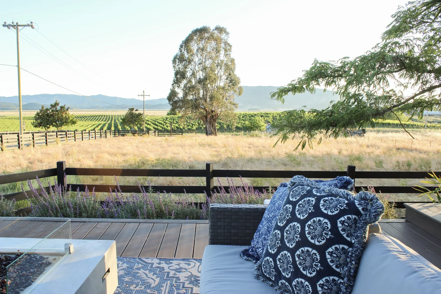 Gambonini Family Ranch