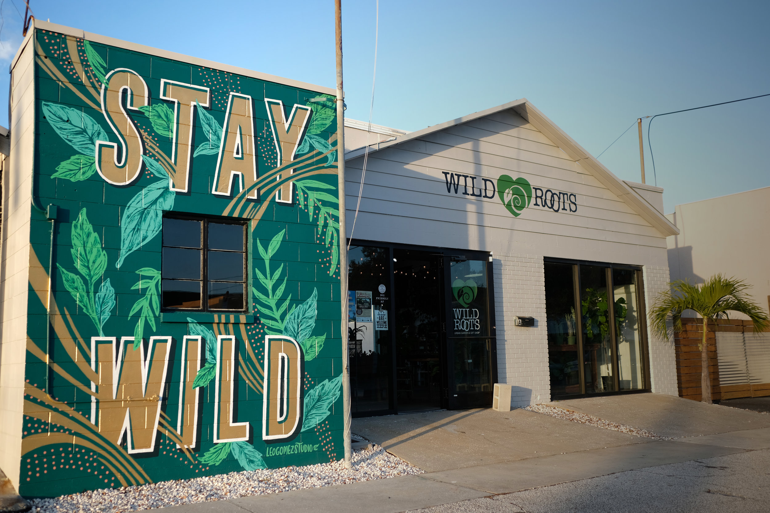 Wild Roots | Plant Shop | Event Space | Workshops
