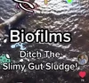 Addressing Biofilms: Time to Ditch that Slimy Gut Sludge!!!