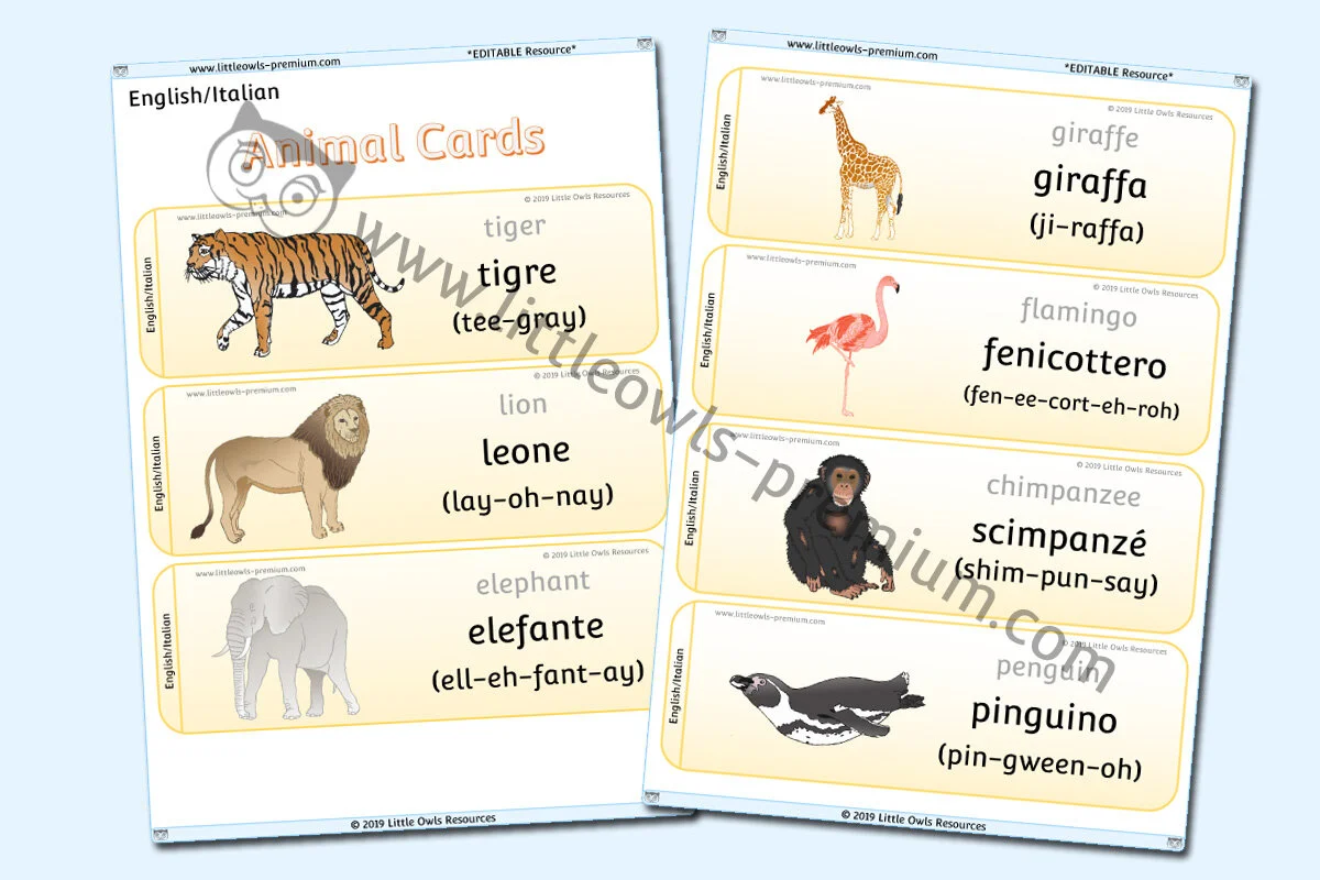 FREE and PREMIUM Word Cards - Early Years/EYFS/Preschool Editable Topic ...