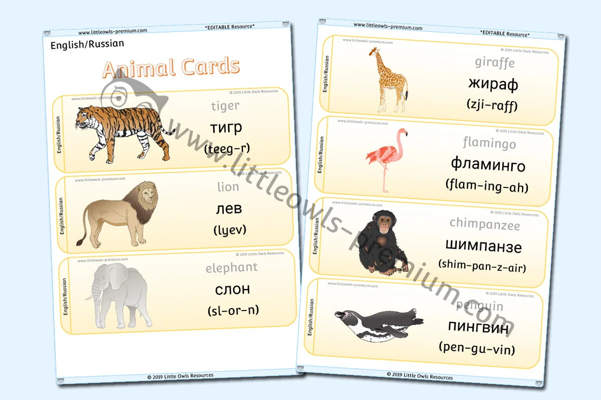 FREE and PREMIUM Word Cards - Early Years/EYFS/Preschool Editable Topic ...