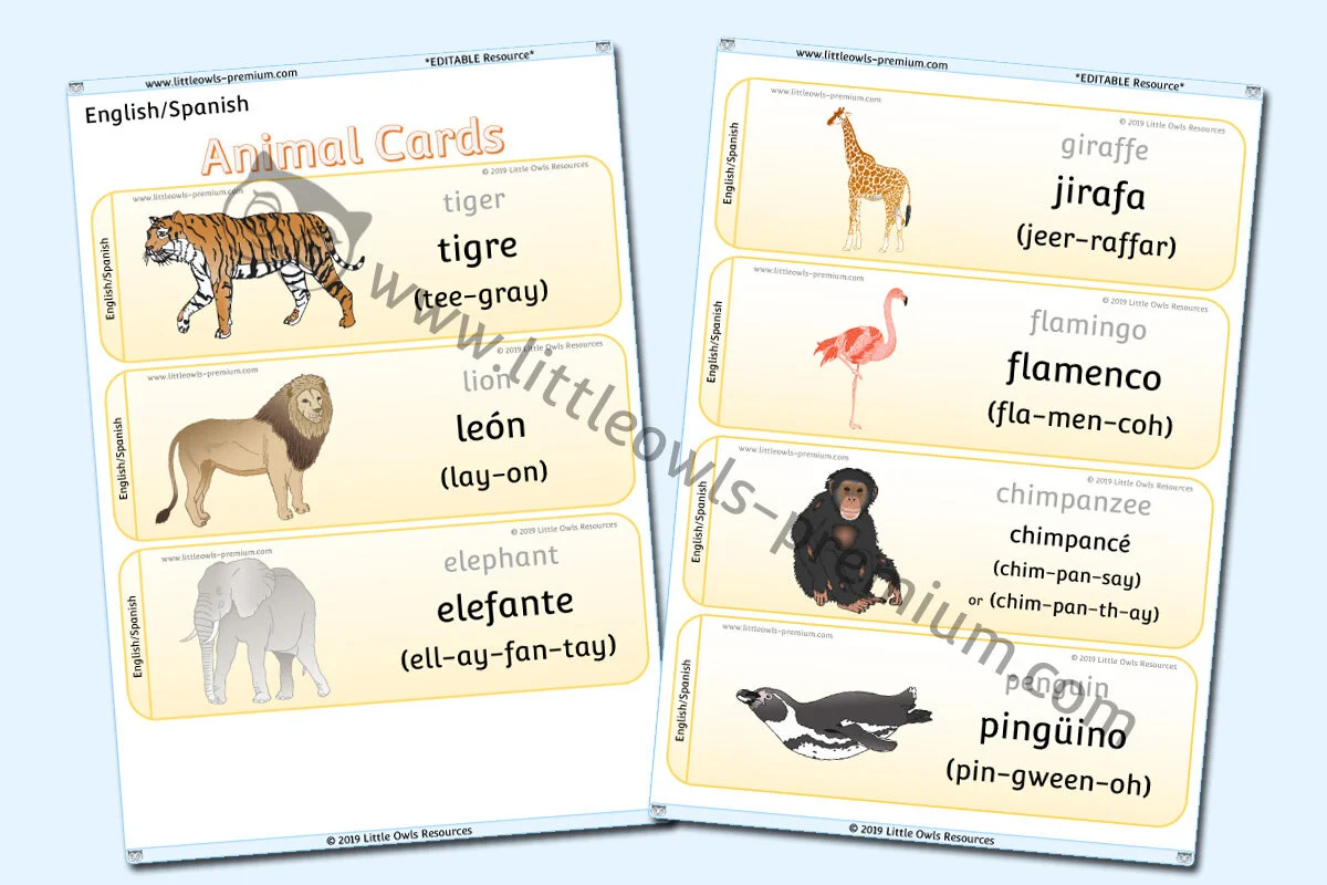 FREE and PREMIUM Word Cards - Early Years/EYFS/Preschool Editable Topic ...