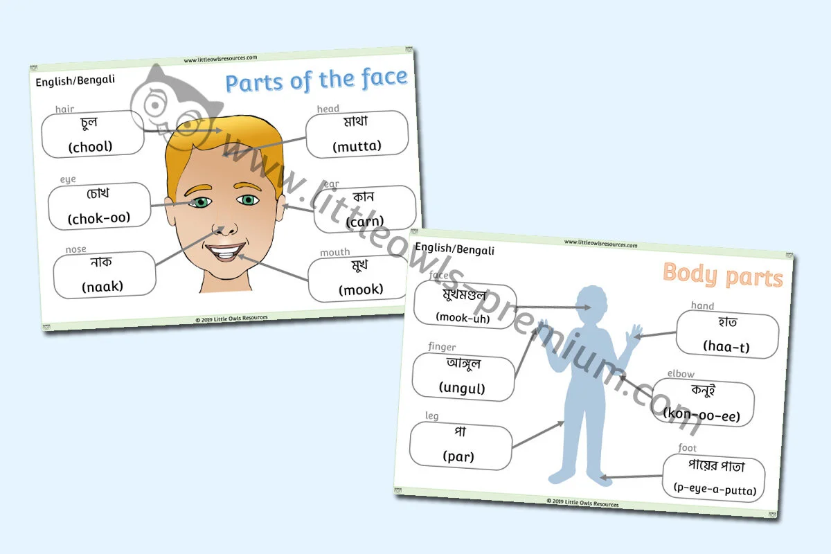 FREE and PREMIUM Printable Parts of the Body/Face Activities - Early ...