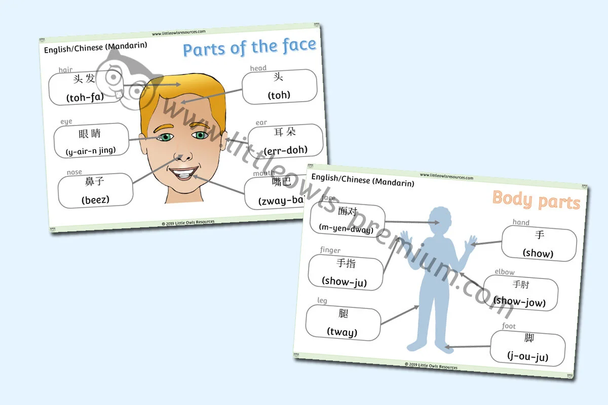 FREE and PREMIUM 'All About Me' Early Years (EYFS) Editable printable ...