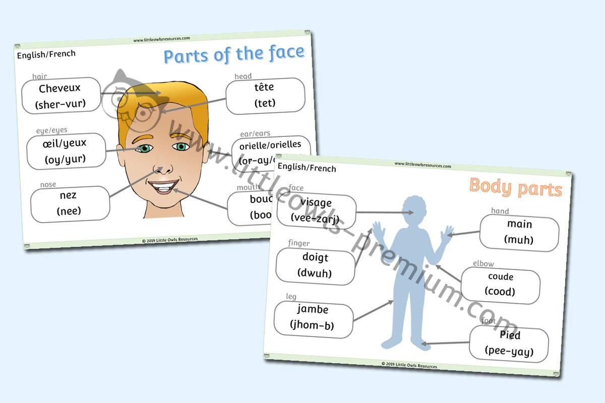 FREE and PREMIUM 'All About Me' Early Years (EYFS) Editable printable ...