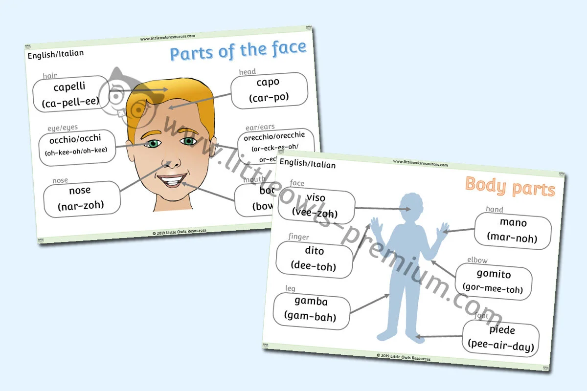 FREE and PREMIUM 'All About Me' Early Years (EYFS) Editable printable ...