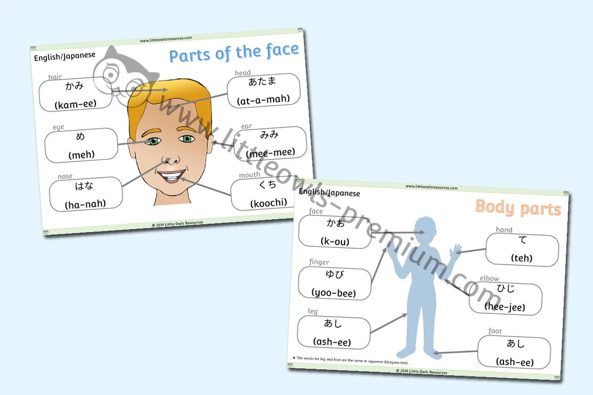 FREE and PREMIUM 'All About Me' Early Years (EYFS) Editable printable ...