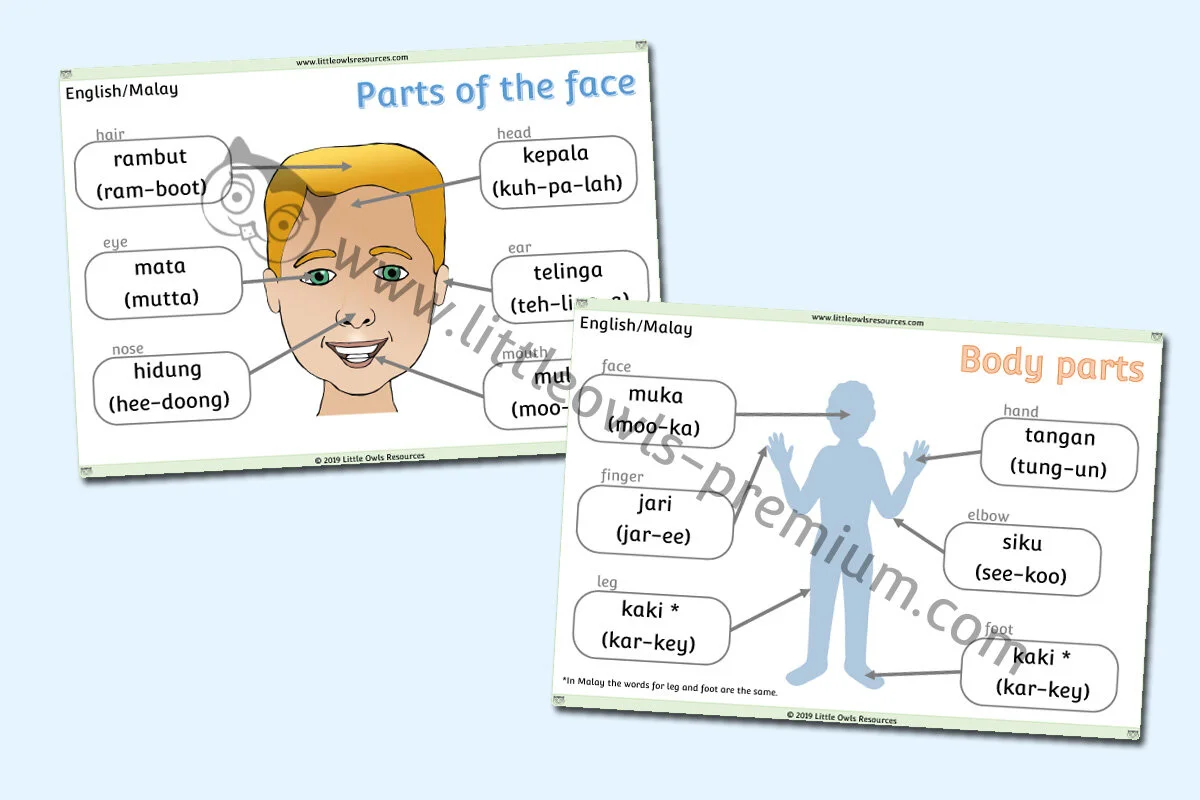 FREE and PREMIUM 'All About Me' Early Years (EYFS) Editable printable ...