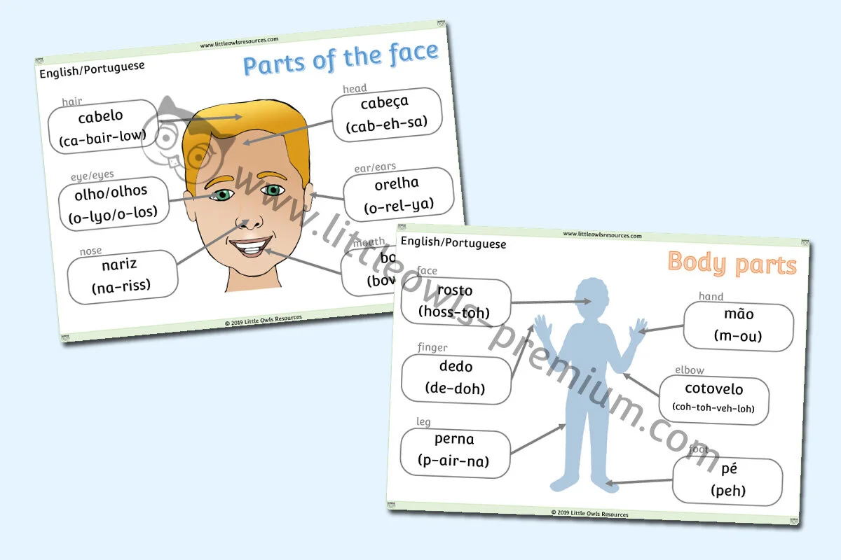 FREE and PREMIUM Printable Parts of the Body/Face Activities - Early ...
