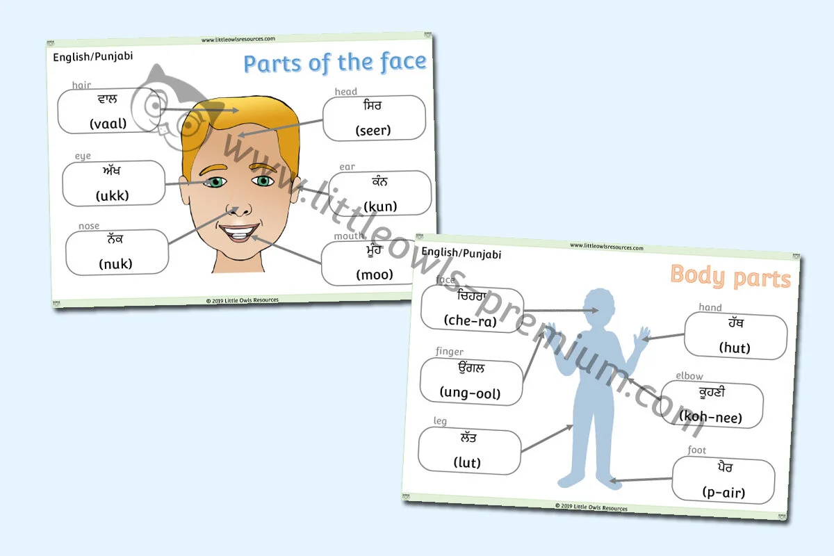 FREE and PREMIUM The Human Body Early Years/EYFS/Preschool Editable ...