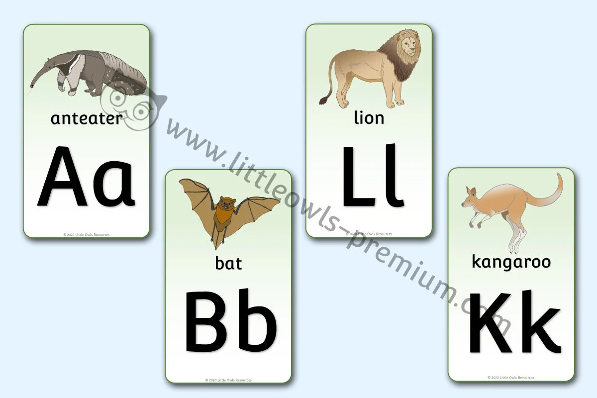 FREE and PREMIUM Printable Cards & Flashcards - Early Years/EYFS ...