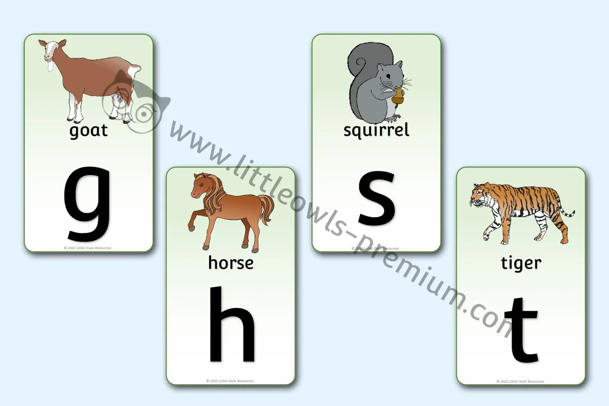 FREE and PREMIUM Printable Cards & Flashcards - Early Years/EYFS ...