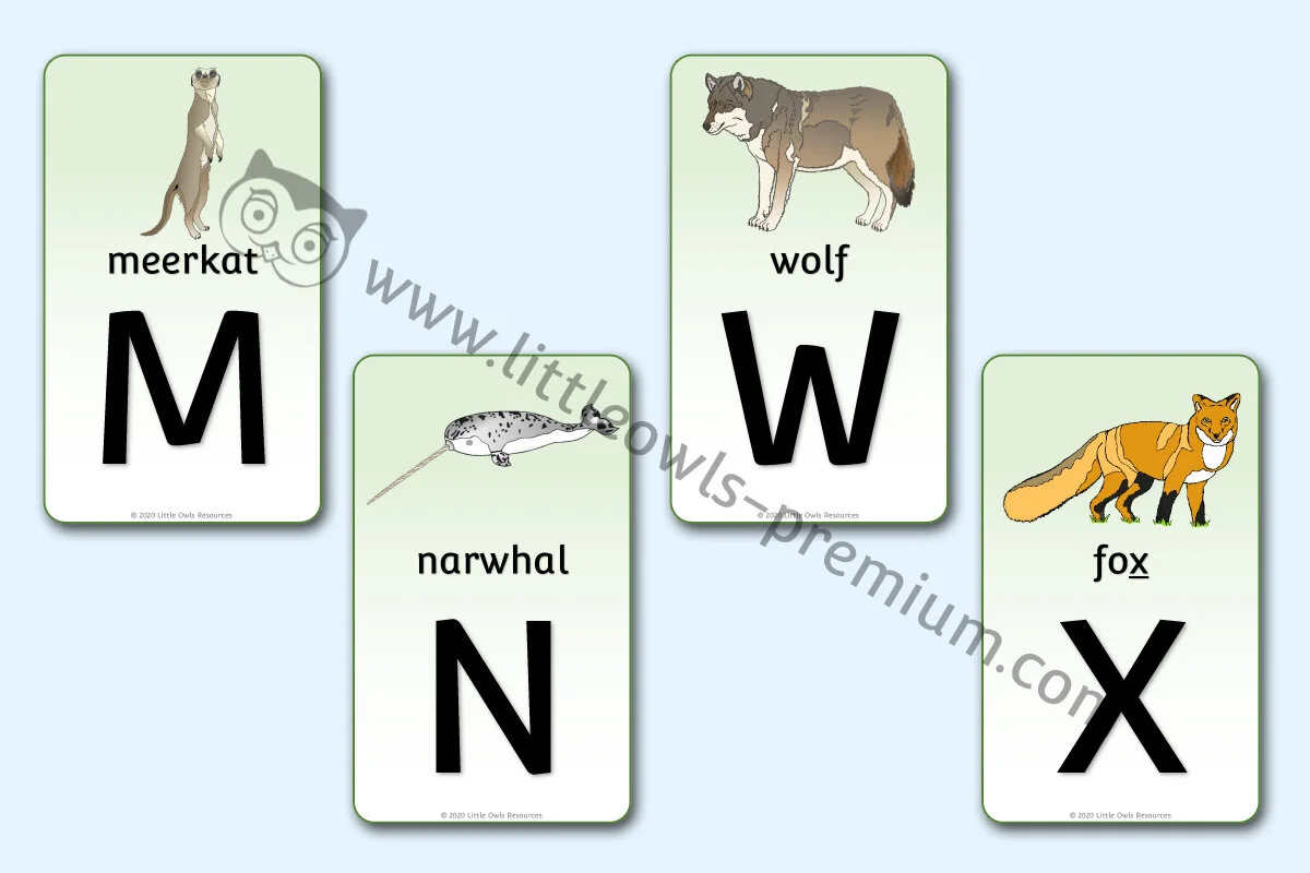 FREE and PREMIUM Printable Cards & Flashcards - Early Years/EYFS ...