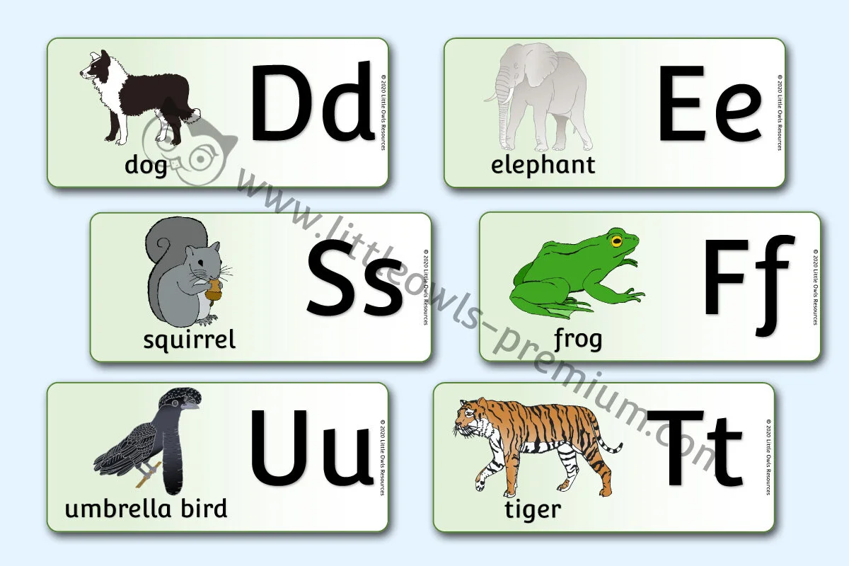 FREE and PREMIUM Printable Cards & Flashcards - Early Years/EYFS ...