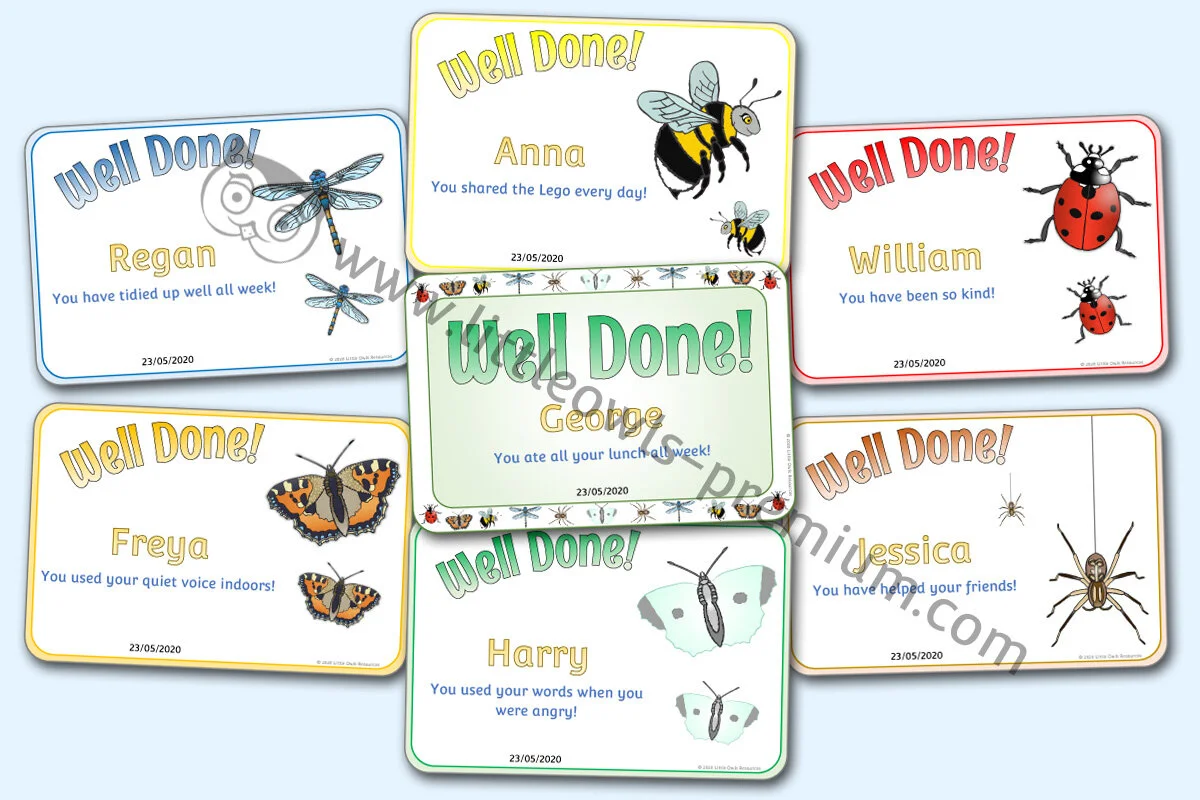 FREE and PREMIUM 'Certificates' Early Years (EYFS) Editable printable ...