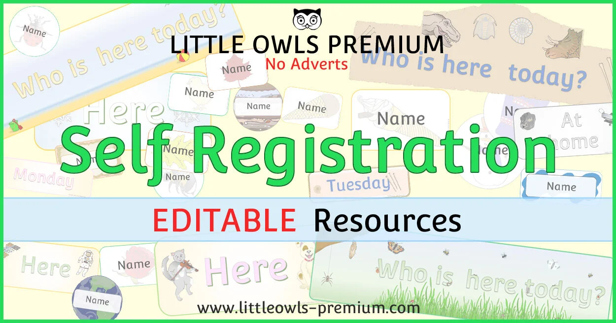 Free and Premium 'Posters Displays' Early Years (EYFS) Editable ...