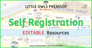 Free and Premium 'Posters Displays' Early Years (EYFS) Editable ...