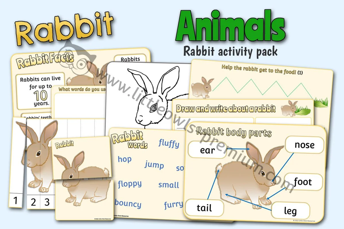World Animal Day | EYFS & KS1 Activity Ideas — Little Owls Resources ...