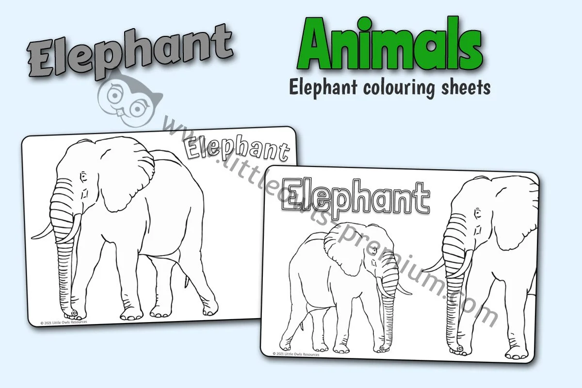 World Elephant Day | EYFS & KS1 Activity Ideas — Little Owls Resources ...