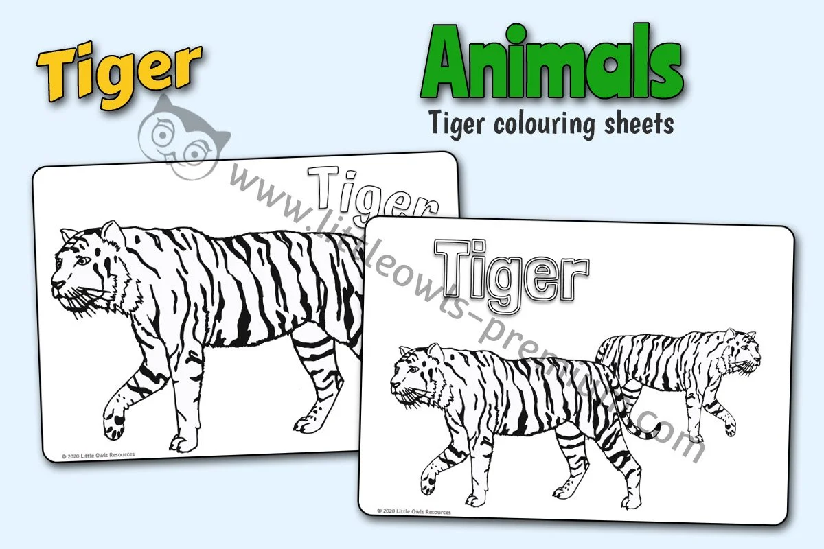 International Tiger Day | EYFS & KS1 Activity Ideas — Little Owls ...