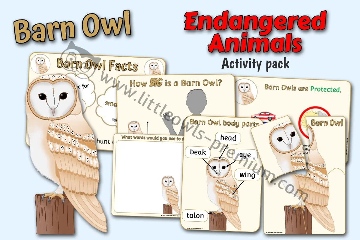 FREE and PREMIUM Mark Making/Drawing/Writing - Early Years/EYFS ...