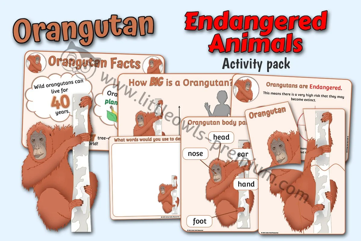 FREE and PREMIUM Printable Endangered Animals - Early Years/EYFS ...
