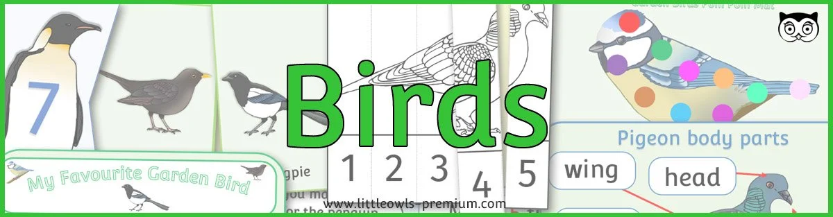 Free and Premium 'Animals of the World' Early Years (EYFS) Editable ...