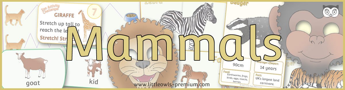 Animal Activities for EYFS & KS1 | Ideas, Printables & Planning ...