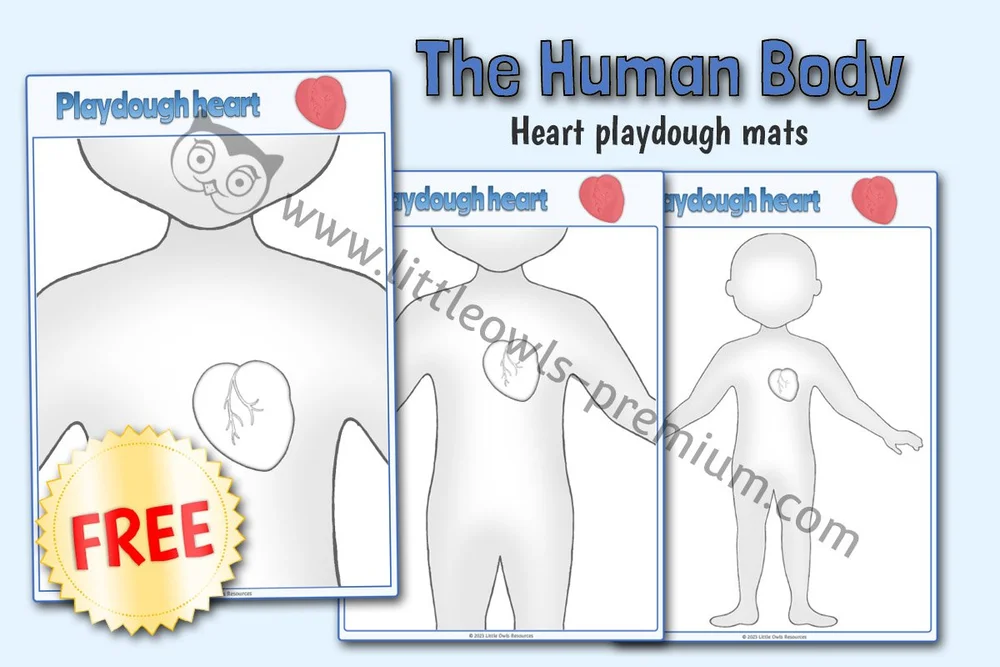 Human Growth Eyfs