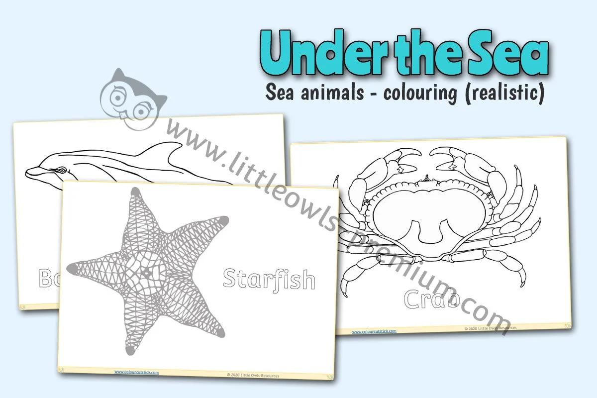 FREE and PREMIUM Summer Holiday Activities - Early Years (EYFS ...