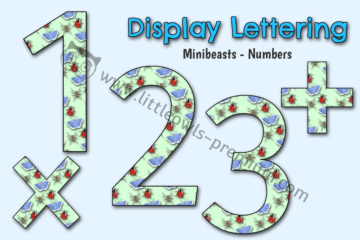 FREE and PREMIUM 'Minibeasts' Early Years (EYFS) Editable printable ...