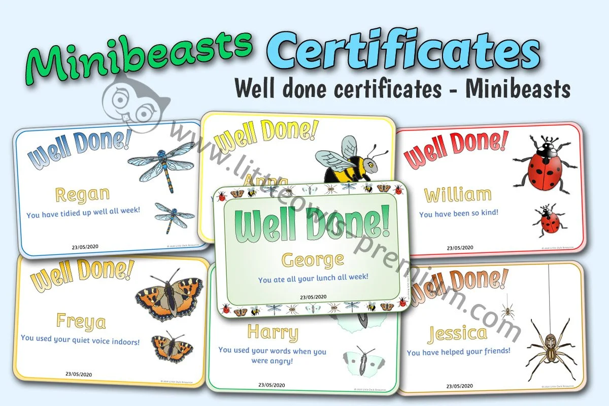 FREE and PREMIUM 'Certificates' Early Years (EYFS) Editable printable ...