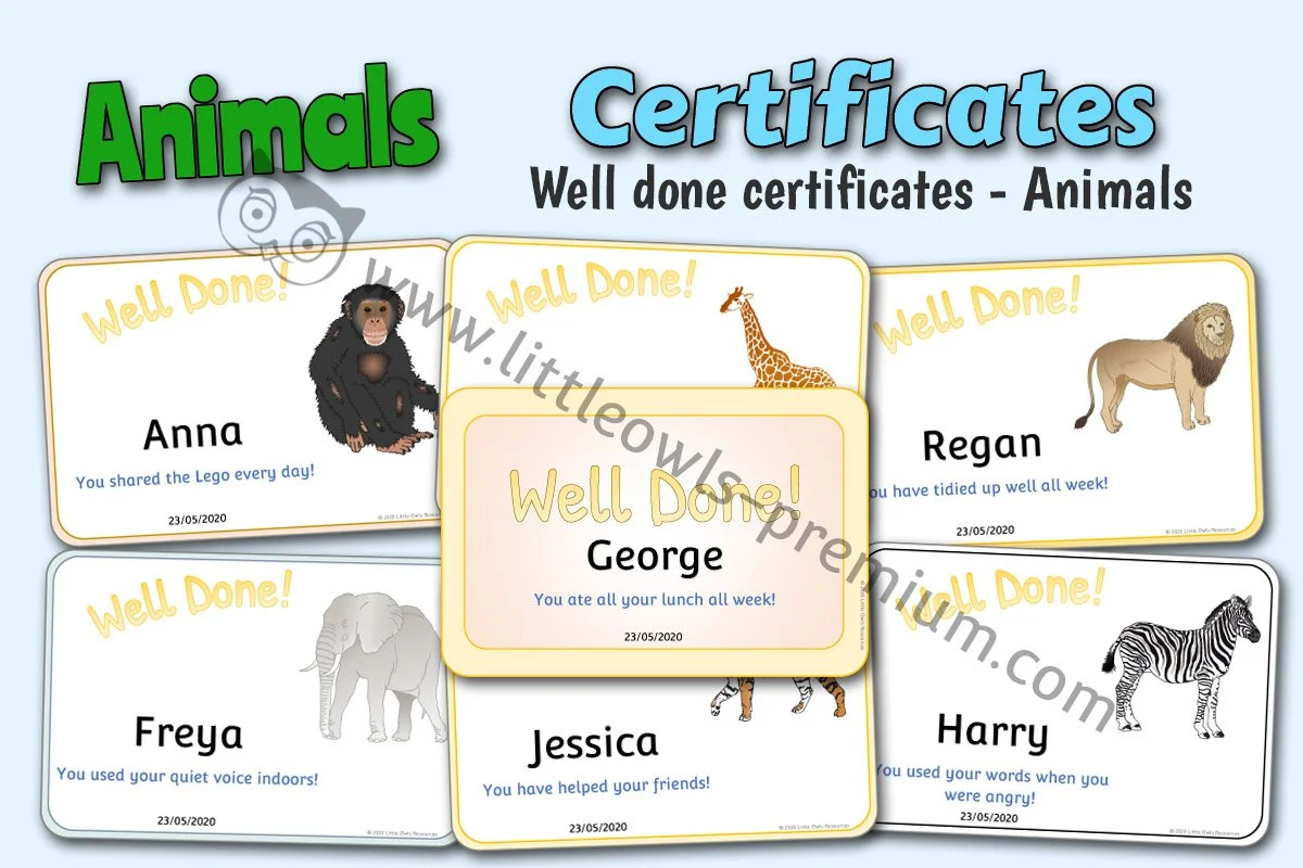 FREE and PREMIUM 'Certificates' Early Years (EYFS) Editable printable ...