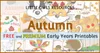 Hedgehog Autumn Leaves Collage Activity | EYFS & KS1 Template — Little ...