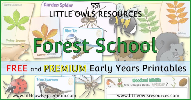 Little Owls Resources - Free and Premium Early Years Printables