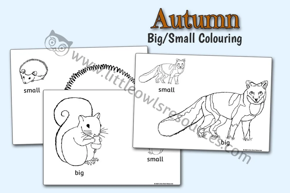 Autumn: Big vs Small Colouring Activity Sheets | EYFS Printables ...