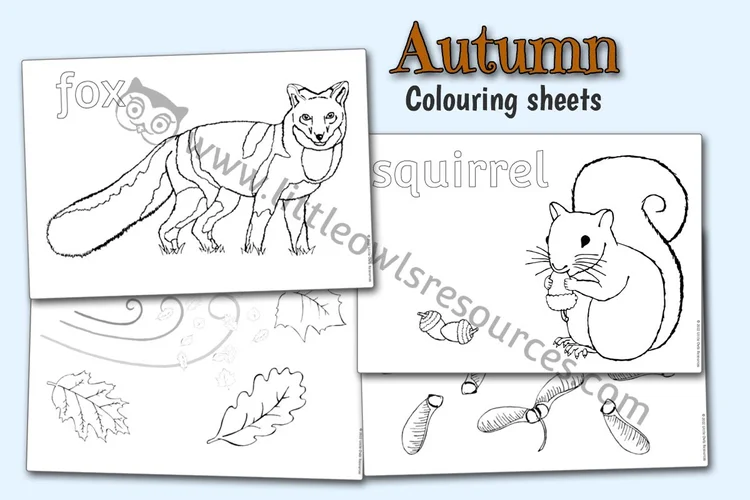 Autumn: Colouring Pages Activity Pack | EYFS & KS1 Printables — Little ...