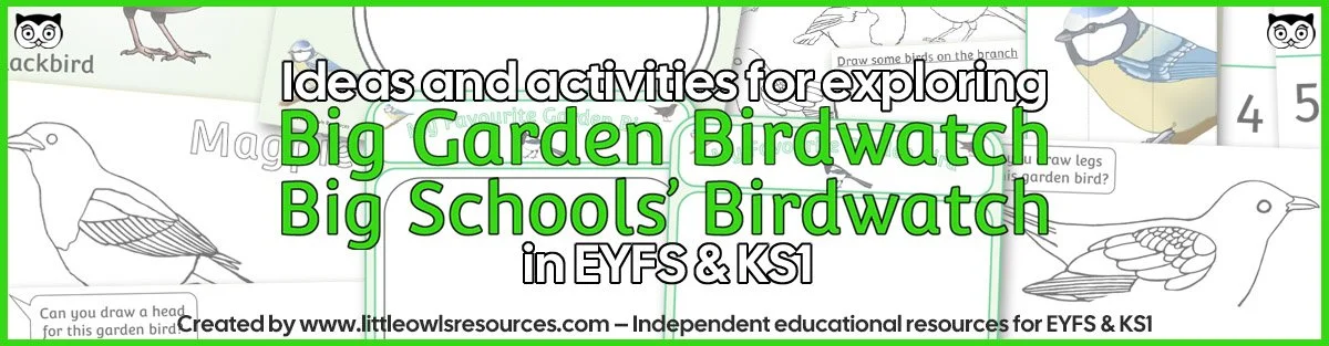 Big Schools'/Garden Birdwatch | EYFS & KS1 Activity Ideas — Little Owls ...