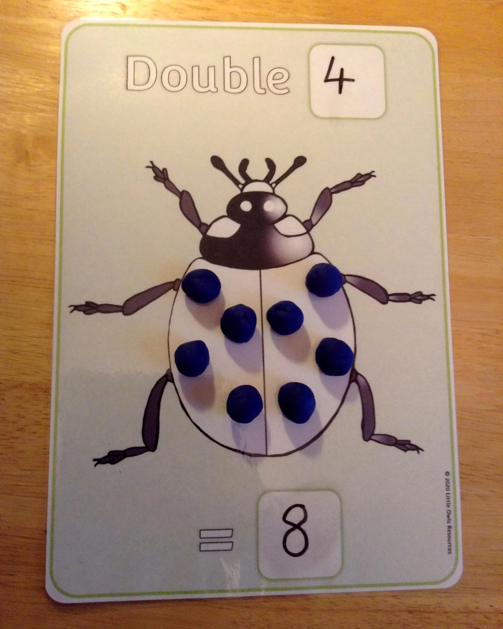 FREE and PREMIUM 'Minibeasts' Early Years (EYFS) Editable printable ...