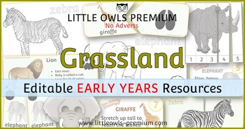 FREE and PREMIUM Habitats - Early Years (EYFS) Editable printable ...