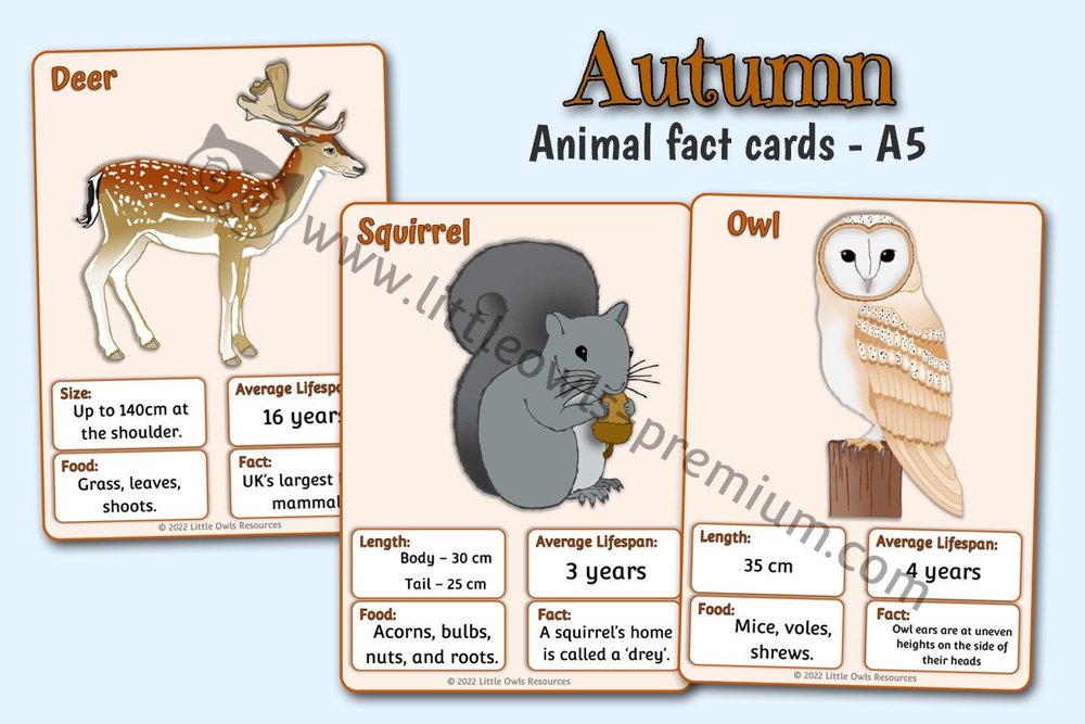 FREE and PREMIUM 'Autumn' Early Years (EYFS) Editable printable ...