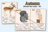 FREE and PREMIUM 'Autumn' Early Years (EYFS) Editable printable ...